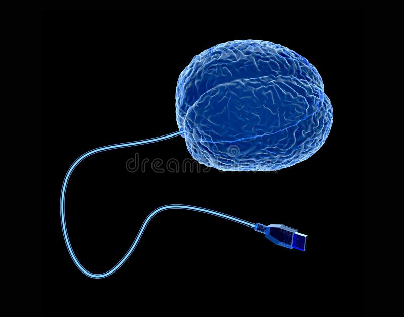 X-ray Brain with Attached USB Cable Stock Illustration - Illustration ...