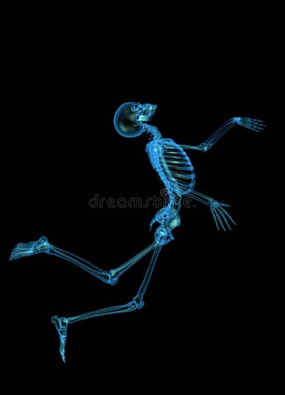 X-ray dance stock illustration. Illustration of life - 13245314