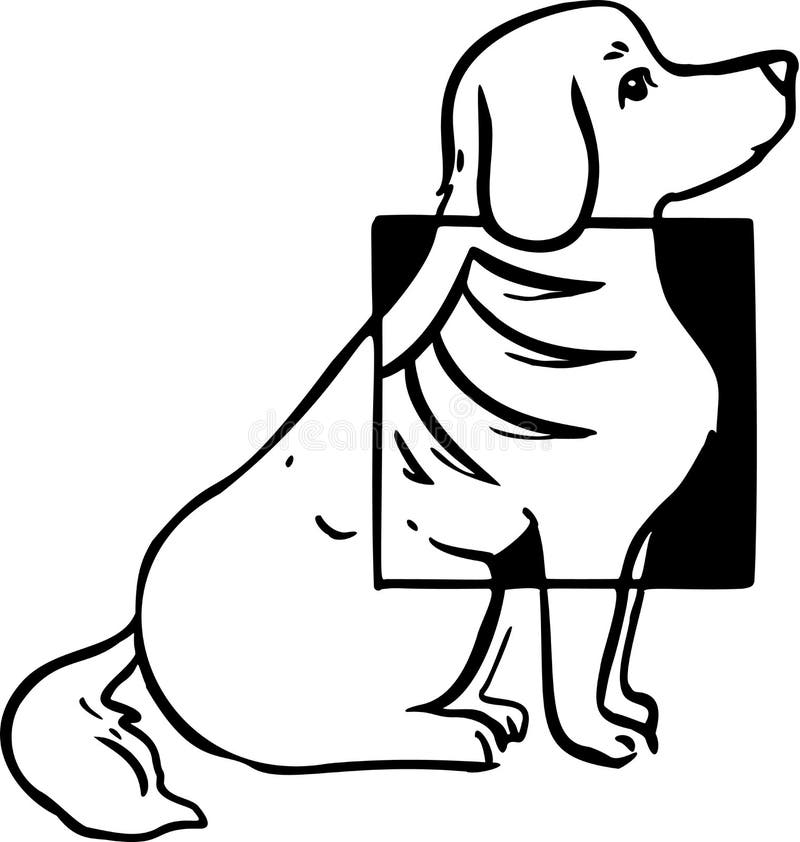 X-ray of a Dog on Which the Bones Hand Draw Vector Illustration Stock ...