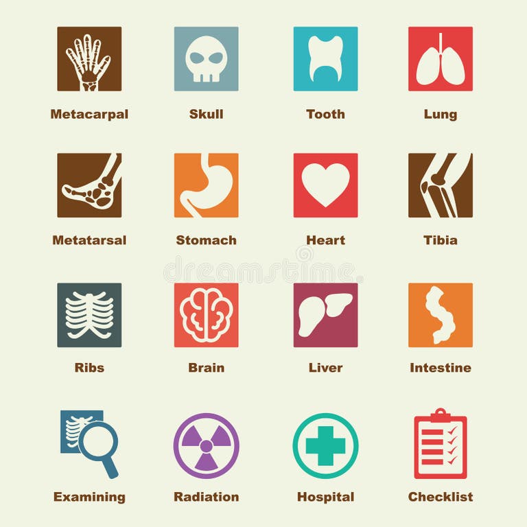 Radiography Infographic Stock Illustrations – 229 Radiography ...