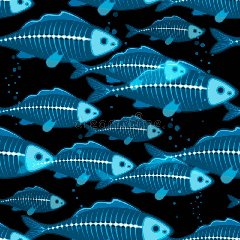 X-ray fish seamless stock vector. Illustration of jellyfish - 64002251