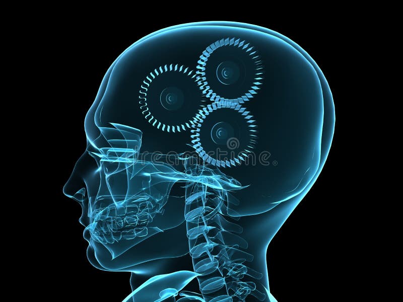 Gears in a head stock illustration. Illustration of brain - 3658561