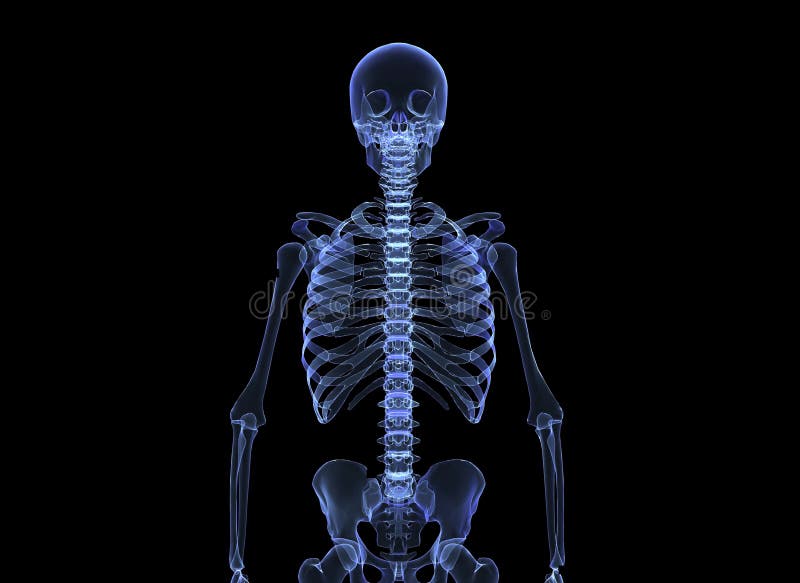 X-ray of the human body stock illustration. Illustration of male - 12323638