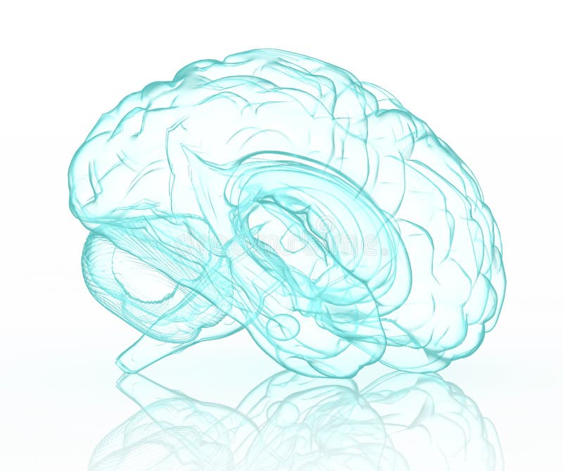 X-ray human brain in blue. stock illustration. Illustration of ...