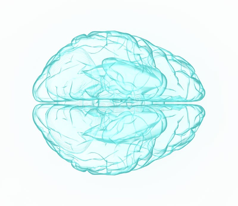 X-ray human brain in blue. stock illustration. Illustration of ...