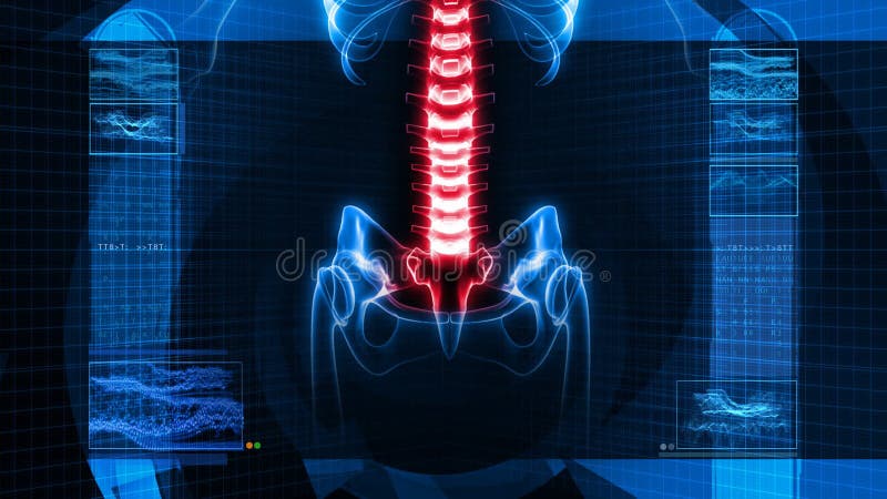 Human Skeleton Vertebral Column Cervical Vertebrae Anatomy 3D ...