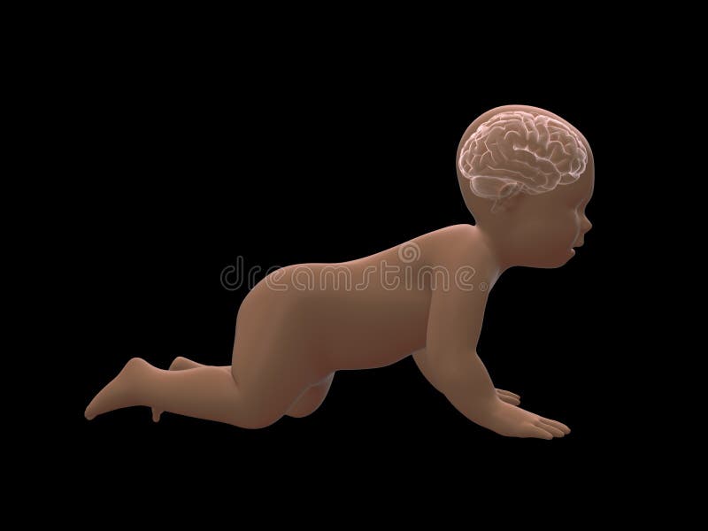 X-ray Image of Crawling Baby with Brain Inside.3D Rendering Stock ...