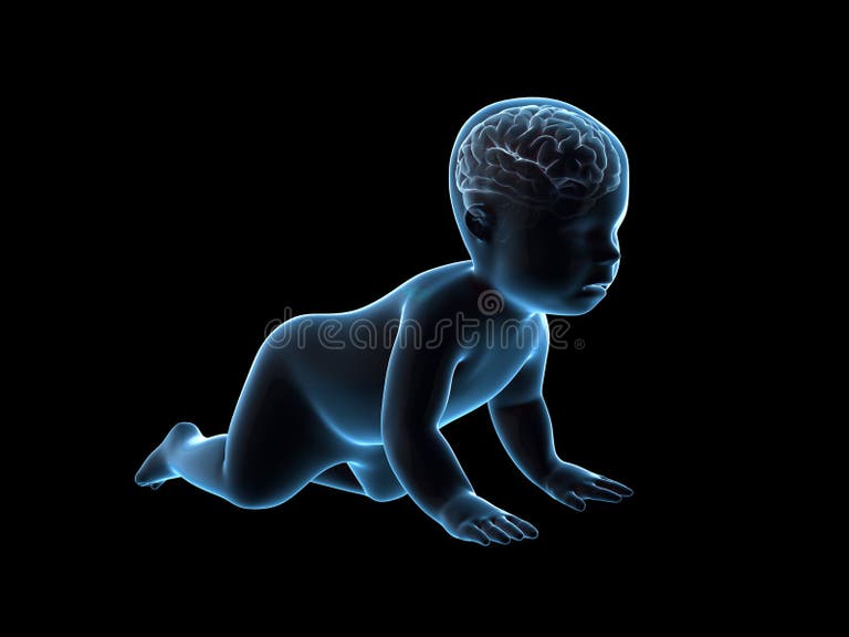 X-ray Image of Crawling Baby with Brain Inside. Stock Illustration ...