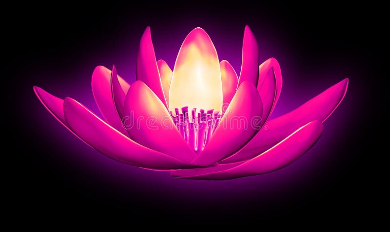 X-ray Image of a Flower Isolated on Black, the Lotus 3d Illustration ...