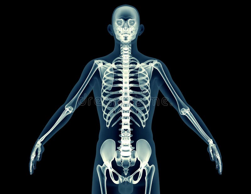 X-ray Image of a Man Isolated on Black Stock Illustration ...