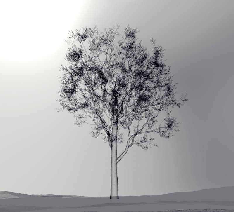 X-ray Image of a Tree Isolated on Grey Stock Illustration ...