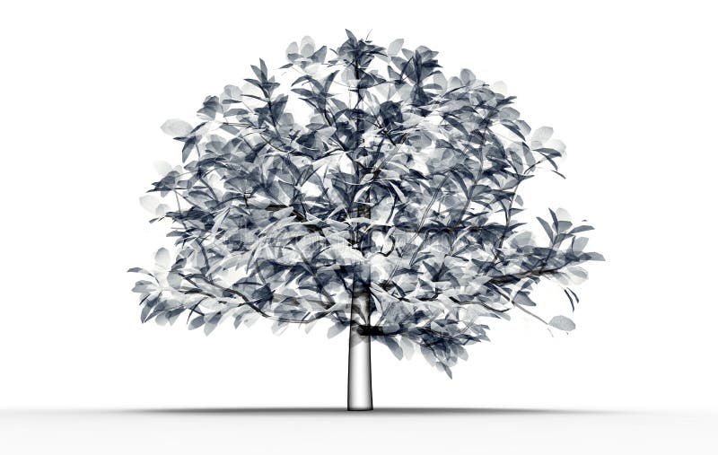 X-ray Image of a Tree Isolated on White Stock Illustration ...