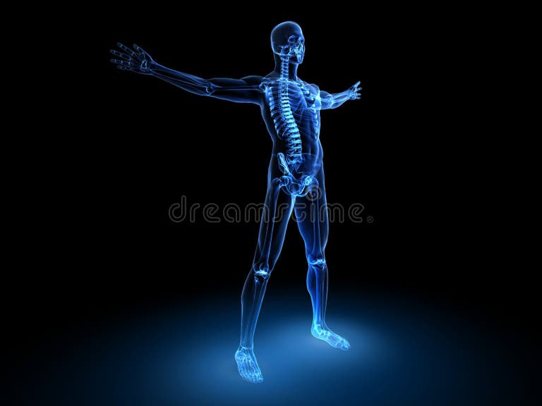 Ray Male Model Stock Illustrations – 276 Ray Male Model Stock ...