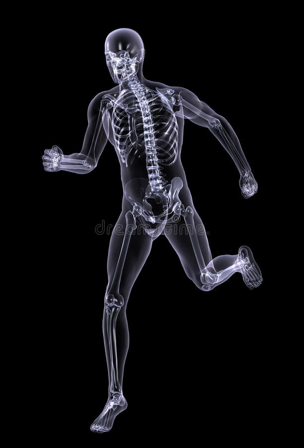 X-Ray Man Running - Side View - with Clipping Path Stock Illustration ...
