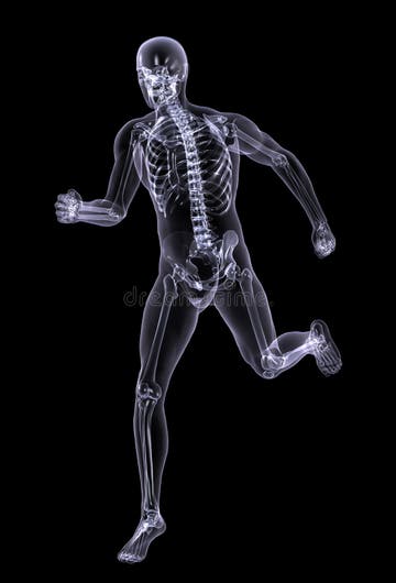 Skeleton Running Man Stock Illustrations – 475 Skeleton Running Man ...