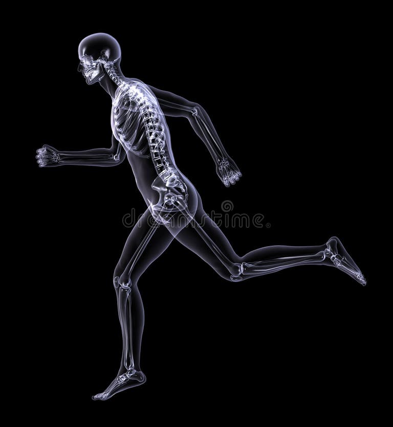 Skeleton Running Man Stock Illustrations – 479 Skeleton Running Man ...