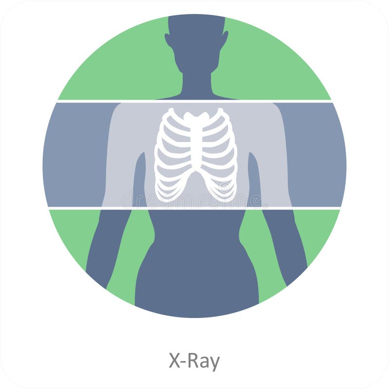 X-Ray stock vector. Illustration of medicine, medical - 264942616