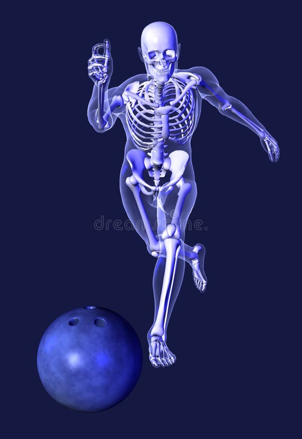 Human Skeleton - Front and Back Stock Vector - Illustration of ...