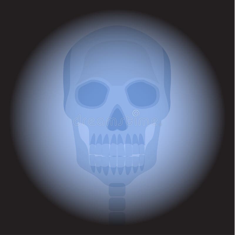 Human Skeleton Blueprint Vector Stock Illustrations – 64 Human Skeleton ...