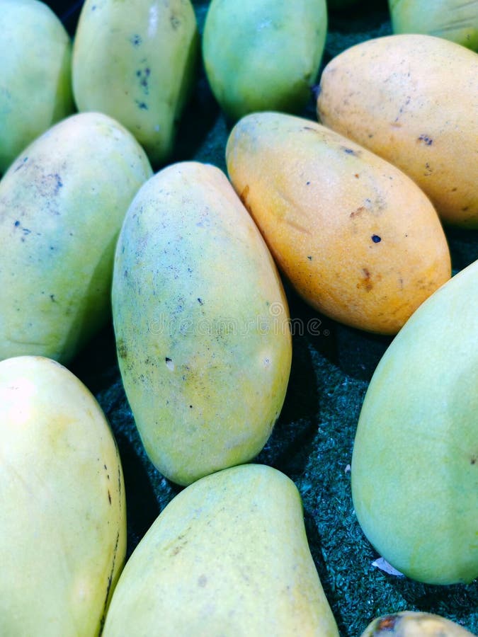 & X22;Ripe Mangoes in the Market Stock Image - Image of market, mangoes ...