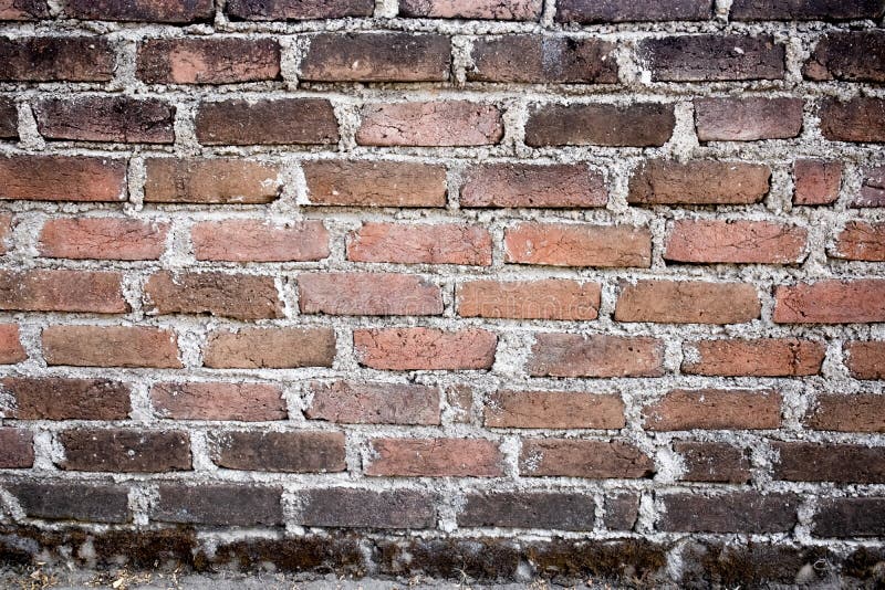 Shital Stock Photos - Free & Royalty-Free Stock Photos from Dreamstime