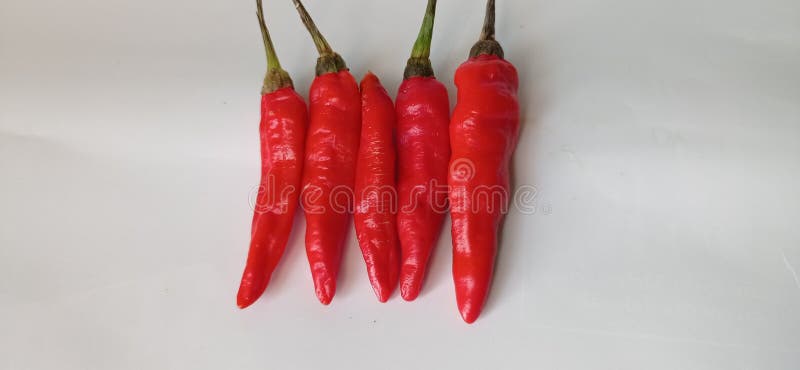 It S a Fresh Picture of the Pepper To Cook. Stock Image - Image of ...