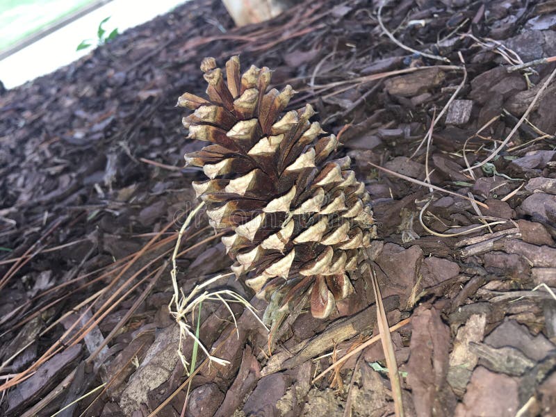 It& X27;s the Little Things that Make Life Big Stock Image - Image of ...