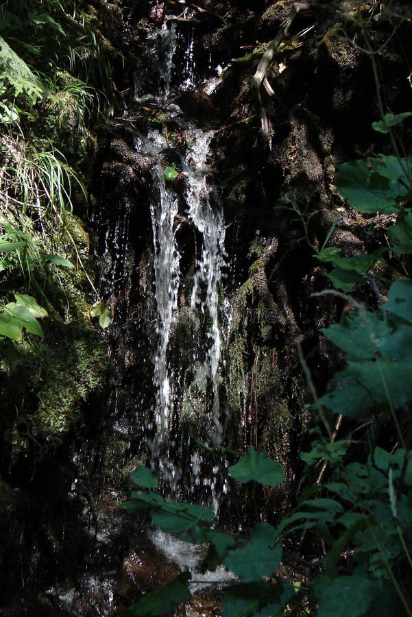 Of the rivulet stock photo. Image of caucasus, rivulet - 177038798