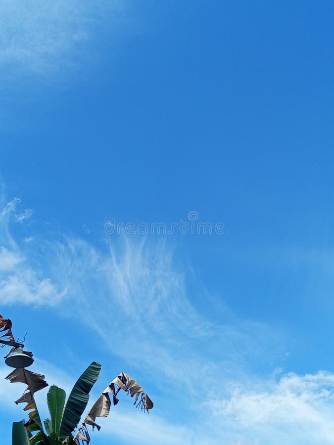 It& X27;s Very Sunny and the Weather is Nice.? Stock Photo - Image of ...