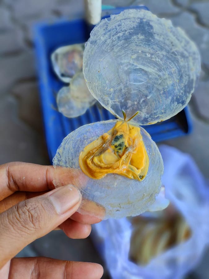 This is & X22;sempeng& X22; Seafood from Java Stock Image - Image of ...