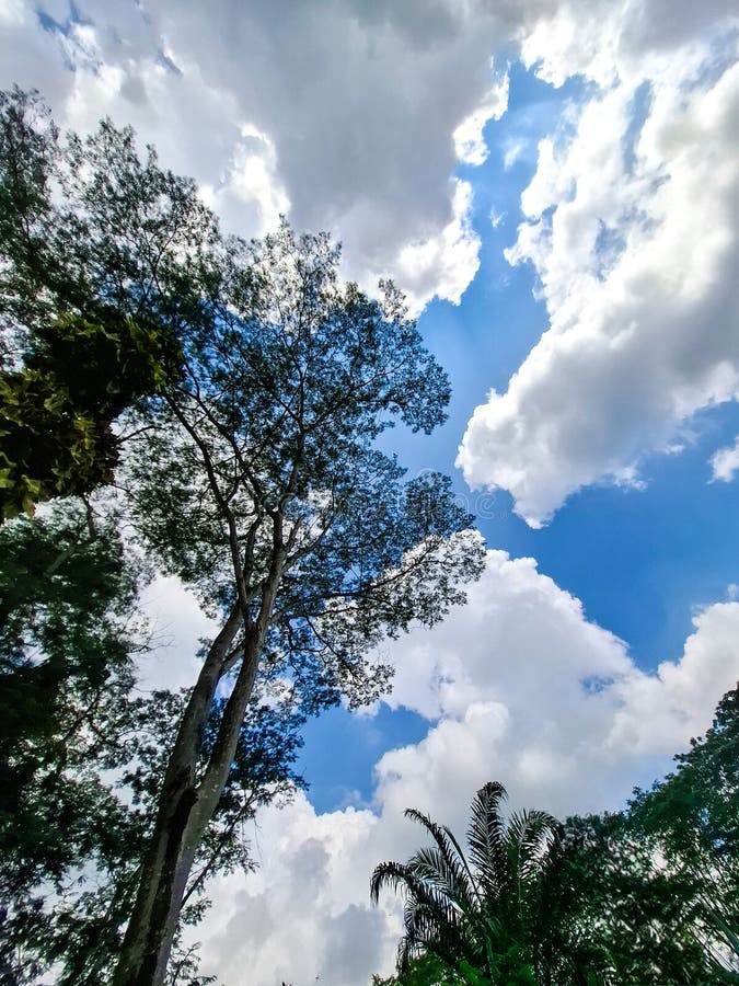X Shape Sky Cover by the Clouds Stock Photo - Image of clouds, cover ...