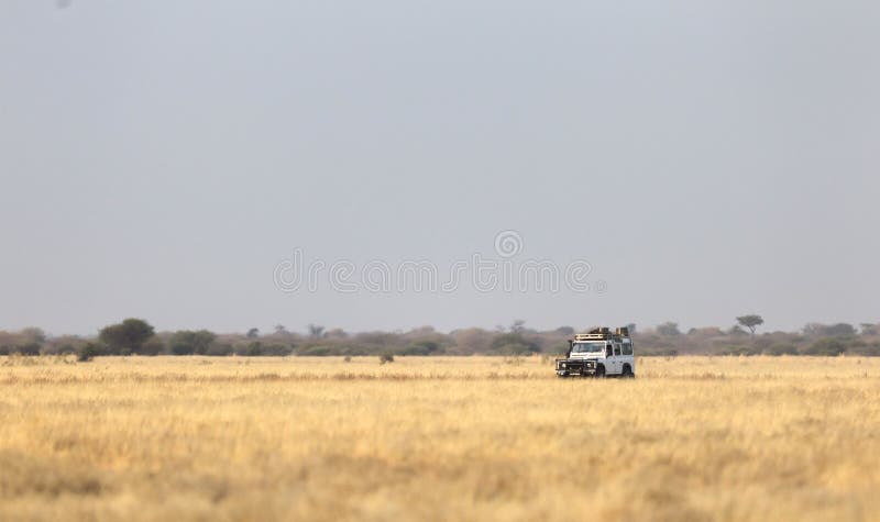 4x4 Vehicle in the Kalahari Desert Editorial Photo - Image of terrain ...