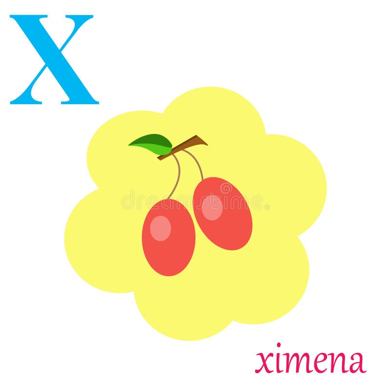 Ximena Font Stock Illustrations – 3 Ximena Font Stock Illustrations ...