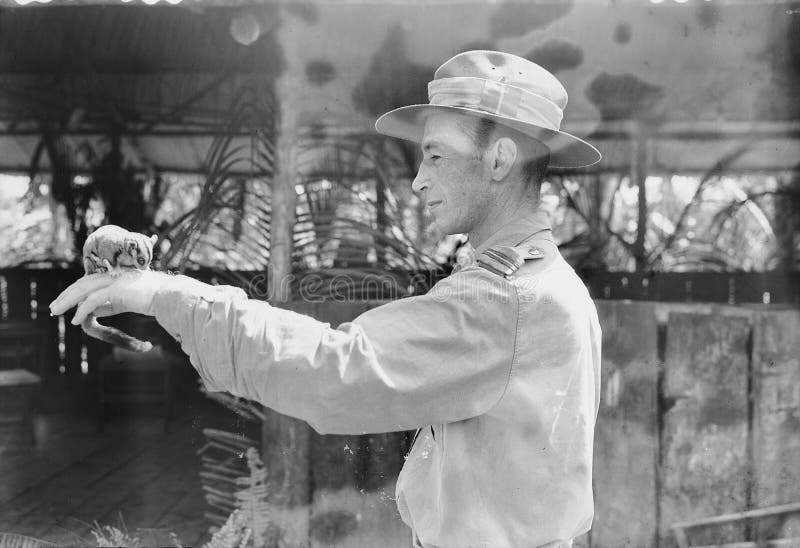 'Ferdie', The Pygmy Flying Phalanger, 1945 Picture. Image: 221388202