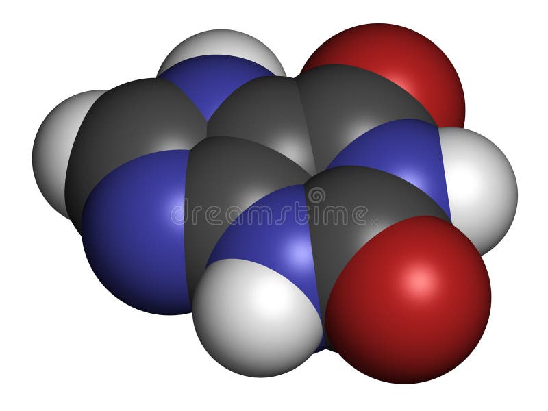 Xanthine Purine Base Molecule. 3D Rendering. Atoms are Represented As ...