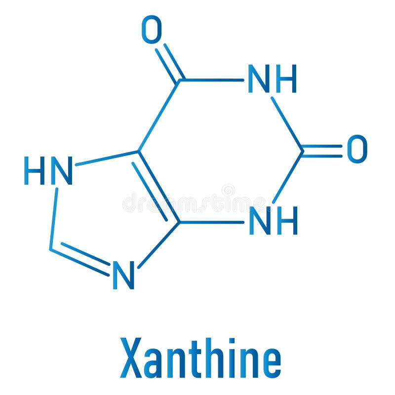 Xanthine Purine Base Molecule. Skeletal Formula Stock Vector ...