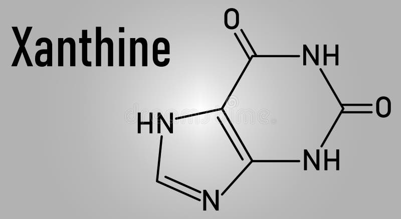 Xanthine Purine Base Molecule. Skeletal Formula Stock Vector ...