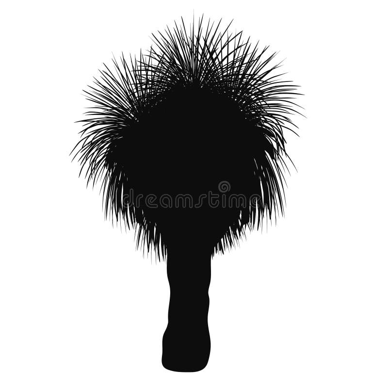 Silhouette Australian Grass Tree Stock Illustrations – 189 Silhouette ...