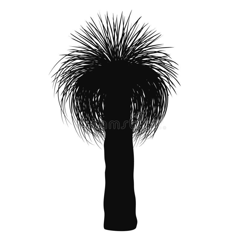 Xanthorrhoea Tree Vector Outline Silhouette Isolated Illustration. the ...