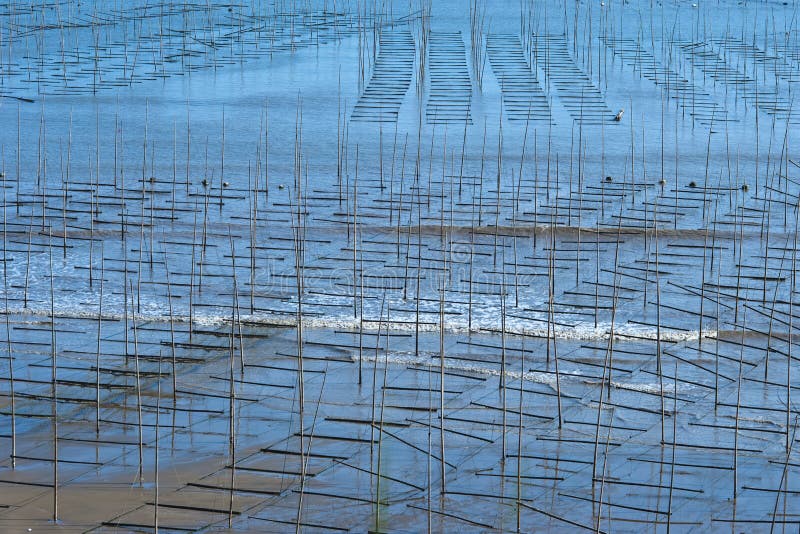Fujian Xiapu Beach Sunrise,China Stock Image - Image of seaside, china ...