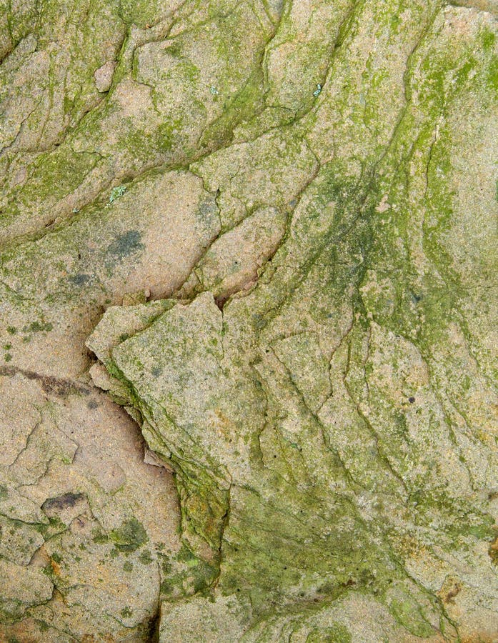 Xisto foto de stock. Imagem de granulado, musgos, camadas - 11962366