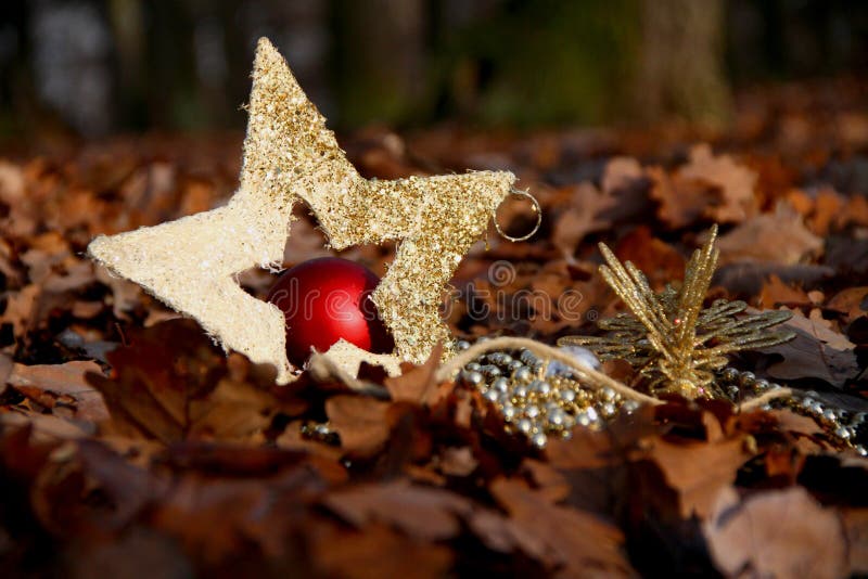 Xmas stock photo. Image of christmas, xmas, leaves, star - 27853574