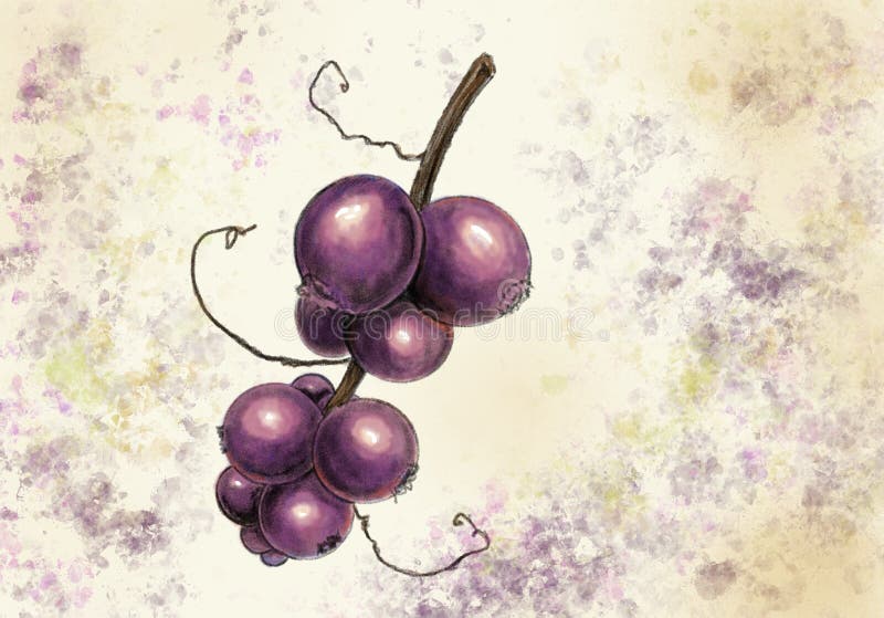 Apstract Beris Stock Illustrations – 1 Apstract Beris Stock ...