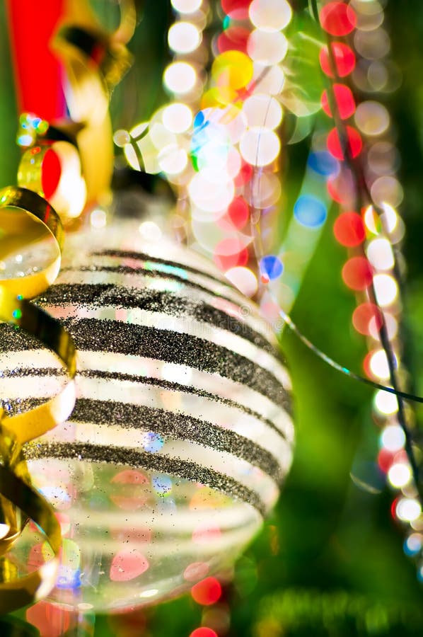 Christmas tree worms stock image. Image of wildlife, scuba - 8302129