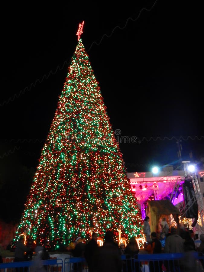 Christmas Tree in Bethlehem, Palestine Stock Image - Image of celebrate ...