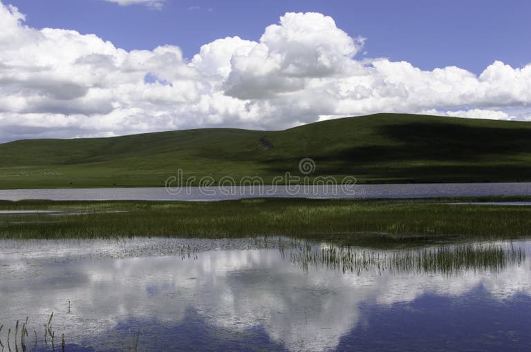 Windows Xp Paradise Stock Photos - Free & Royalty-Free Stock Photos ...