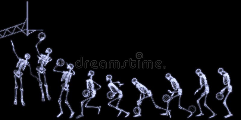 Xray of Human Skeleton Playing Basketball Stock Illustration ...