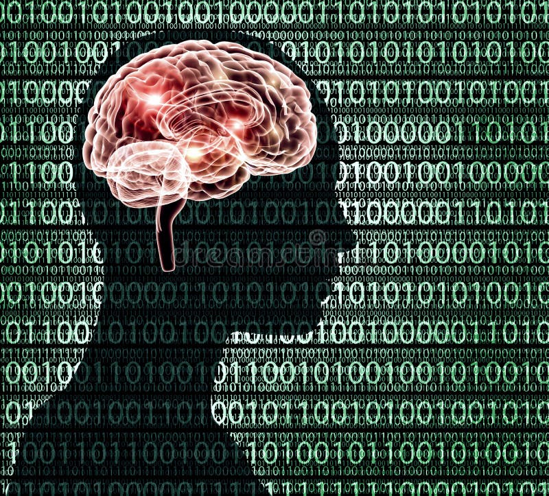 Xray Image of Human Head with Binairy Code and a Brain Stock ...