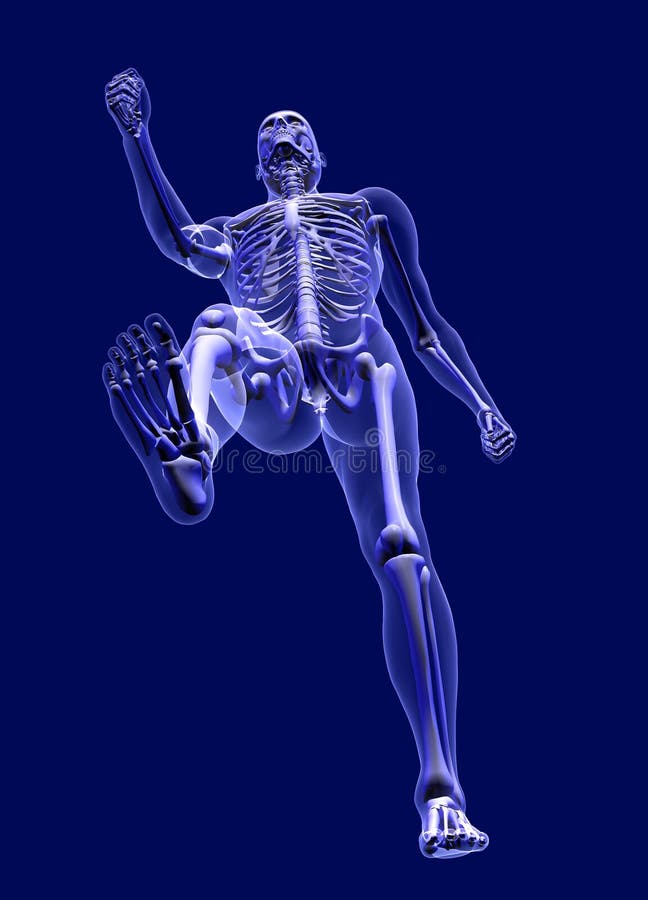 X-Ray Man Running - Side View - with Clipping Path Stock Illustration ...