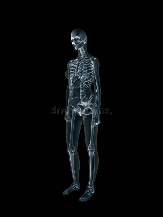 Xray Human Body